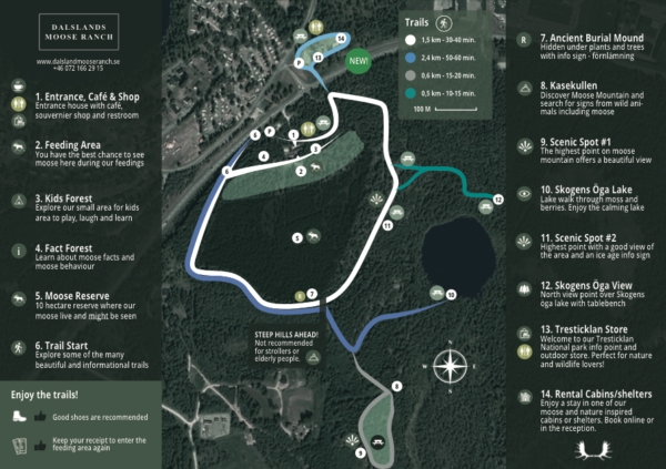 Amazing nature Activities: Moose feeding, nature guiding and hikes